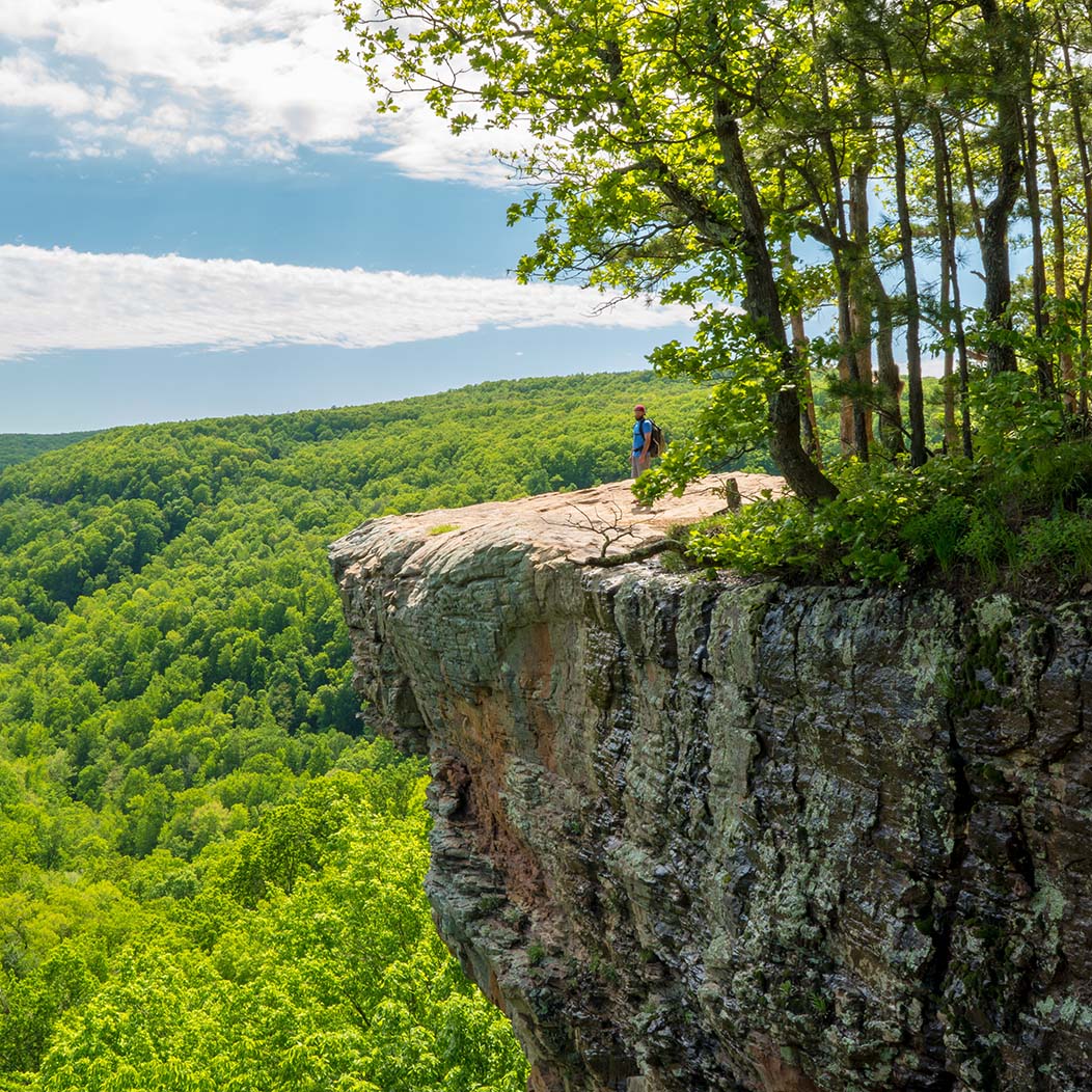 Home » Hark at Excellerate Foundation